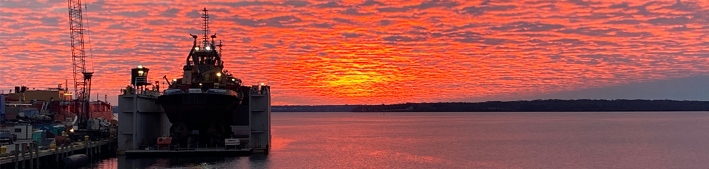 Senesco Marine | Shipbuilding & Repair Yard - Senesco Marine ...